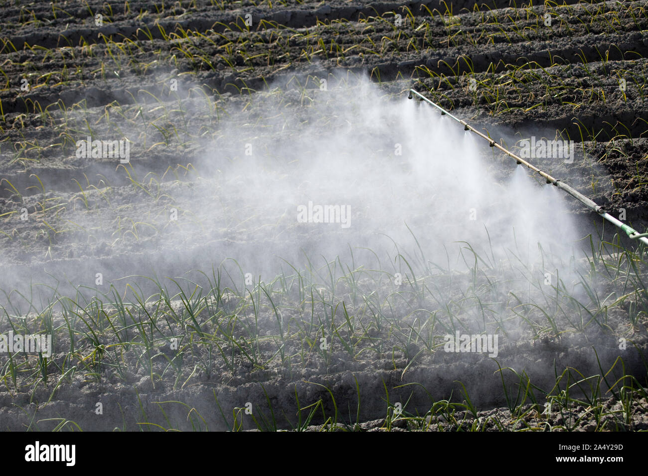 Agricultural inputs hi-res stock photography and images - Alamy