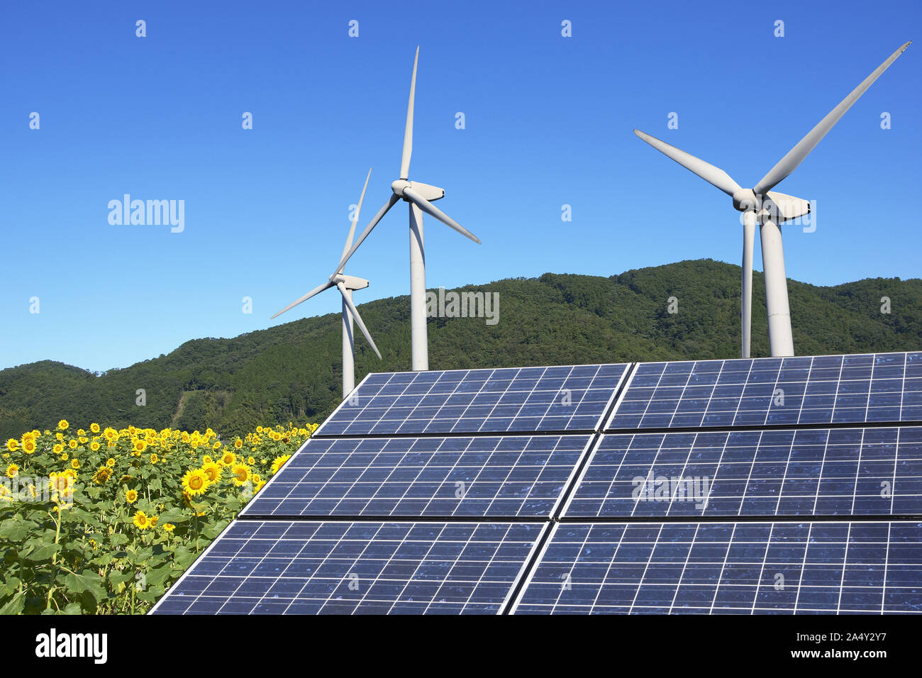Solar Energy Wind Power in the sun Stock Photo - Alamy