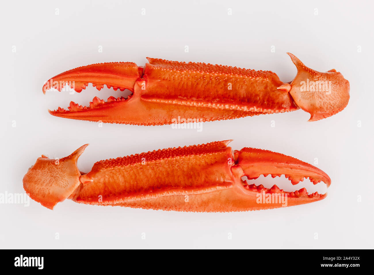 Boiled crab claws isolated on white background for crabs and seafood menu Stock Photo - Alamy