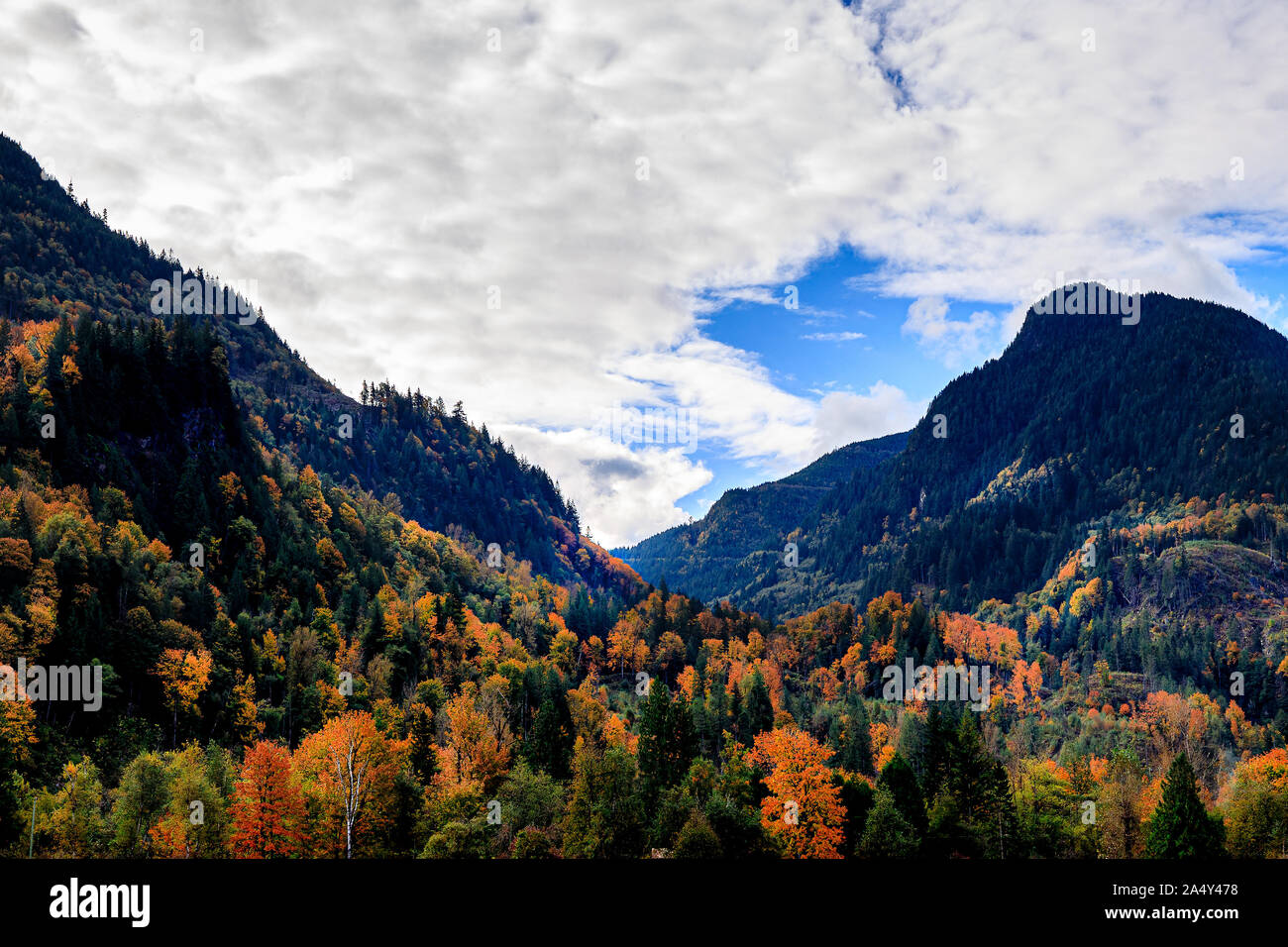 Stunning autumn colors in valley Stock Photo - Alamy
