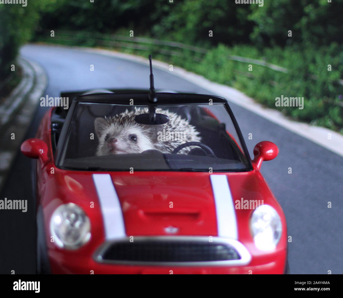 Mini series hi-res stock photography and images - Alamy