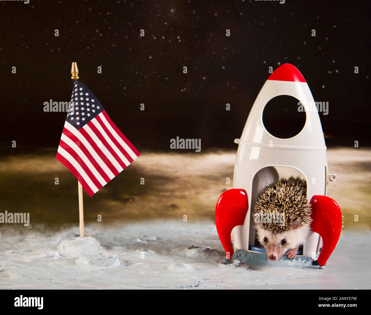 Astrohog hi-res stock photography and images - Alamy