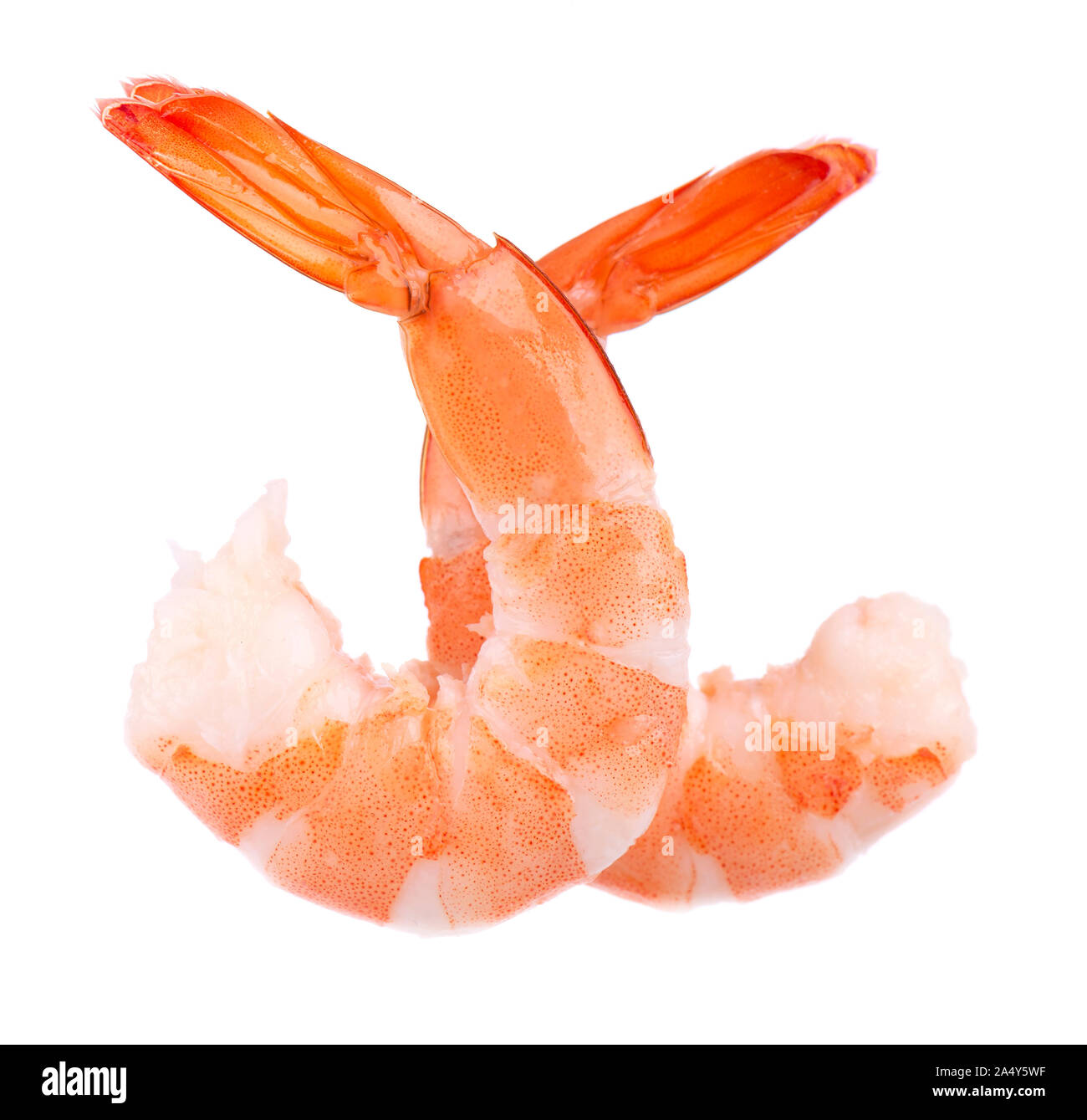 Two red cooked prawn or tiger shrimp isolated on white background Stock ...