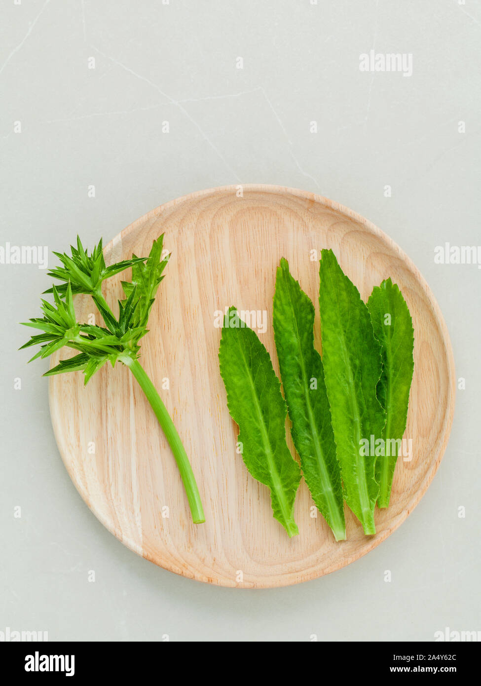 Culantro, Long coriander, Sawtooth coriander the herbs for seasoning of ...