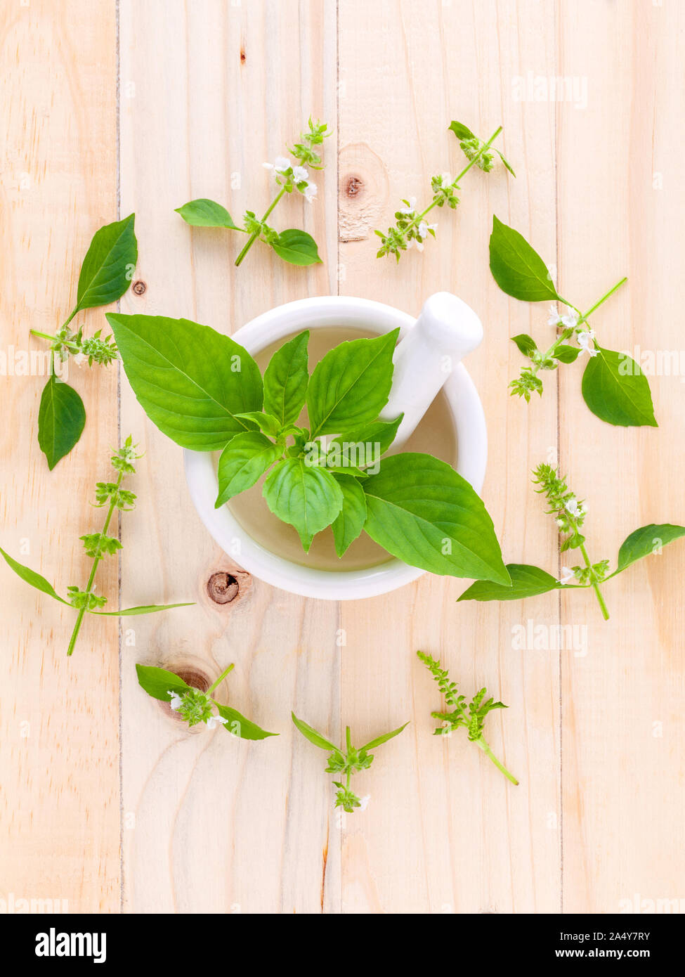 The circle of lemon basil( hairy basil ) leaf and flower on wooden ...