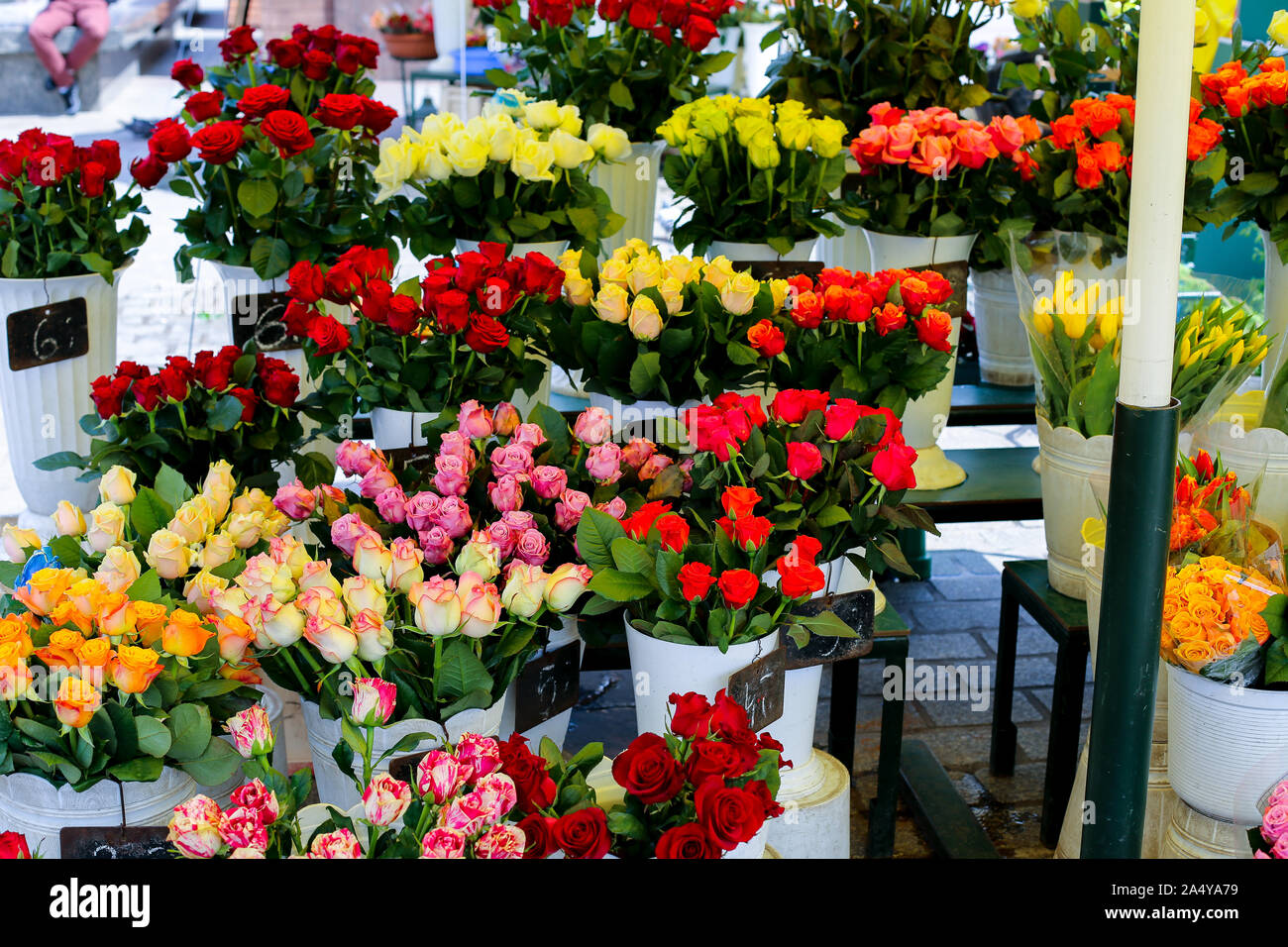 Colorful roses in vases in flower shop Stock Photo - Alamy