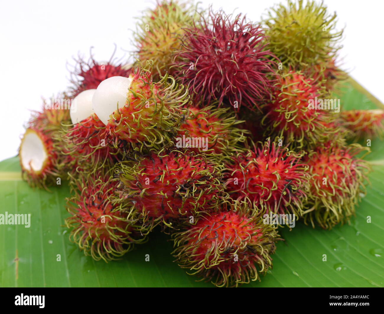 Rambutan on white background with blender fruit open and smoothie ...