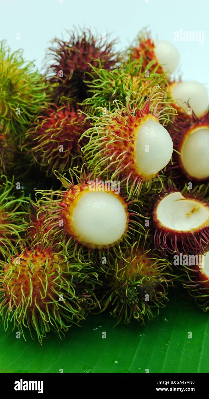 Rambutan on white background with blender fruit open and smoothie ...