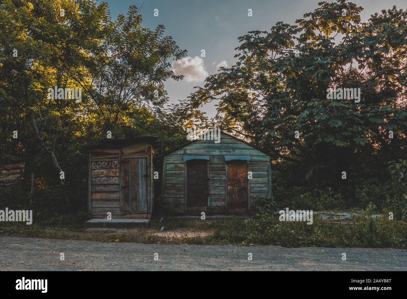 Dominican camp typical house with trees Stock Photo - Alamy