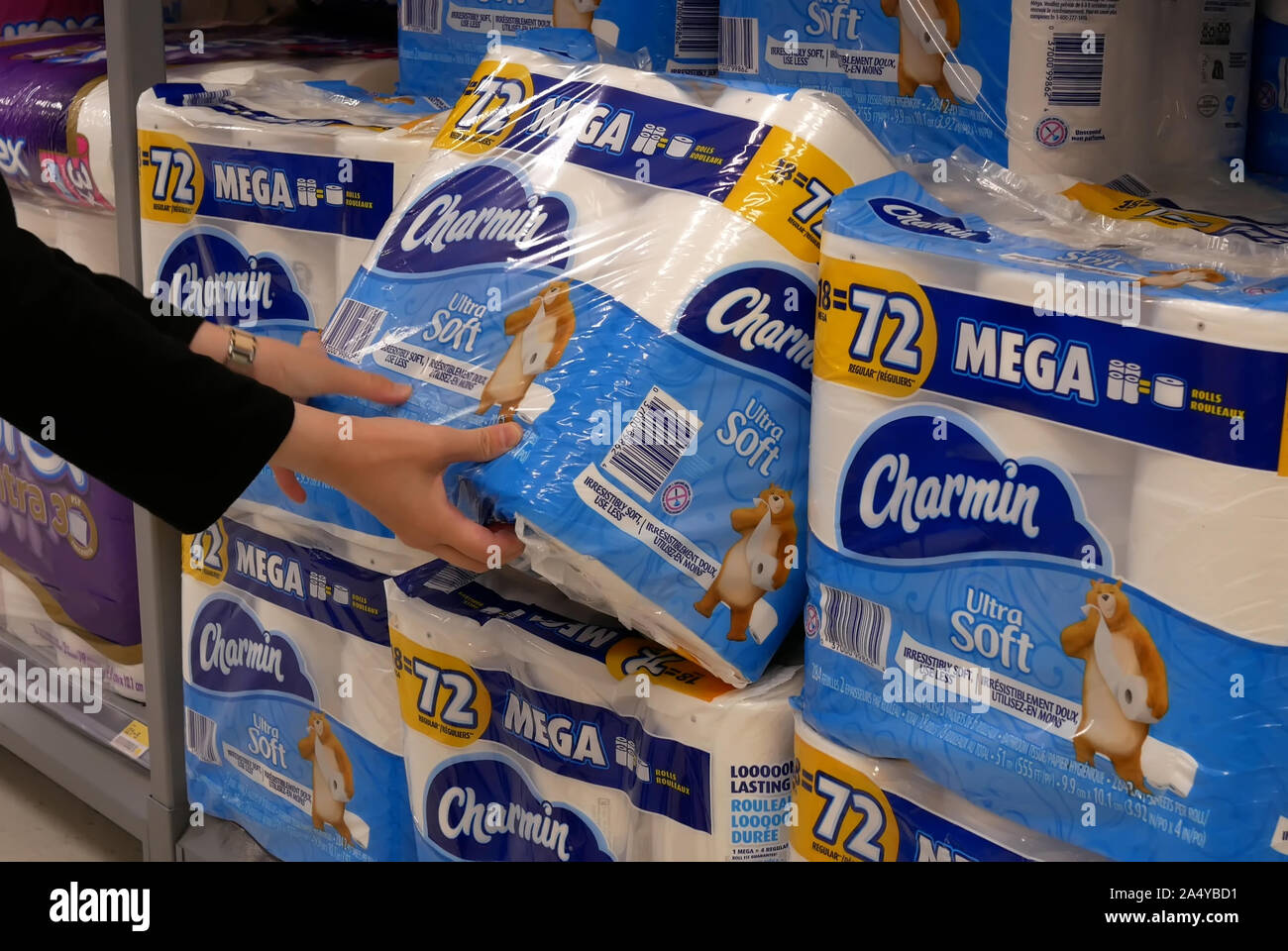 Charmin hi-res stock photography and images - Alamy
