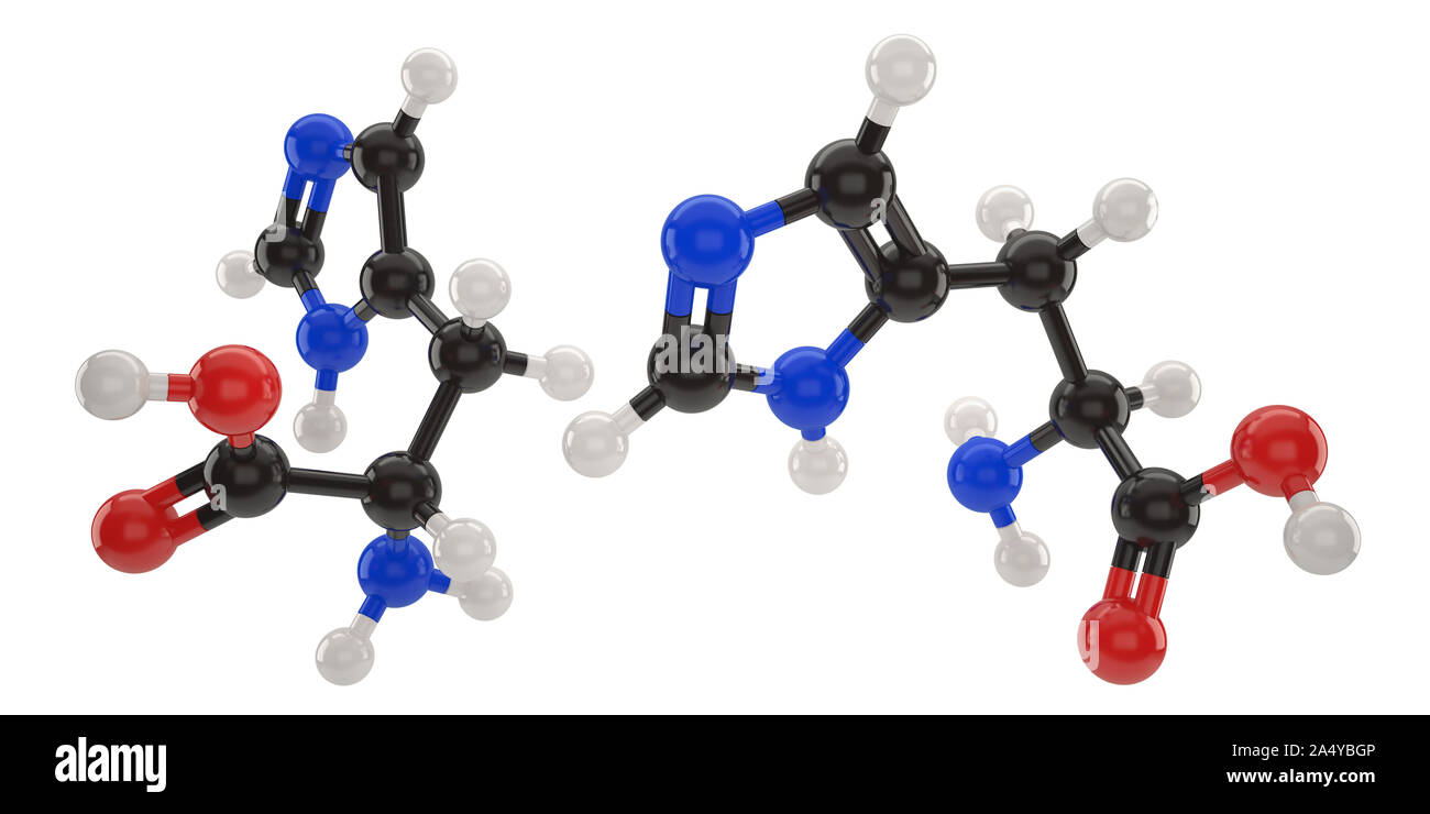 Histidine molecule structure 3d illustration with clipping path Stock ...