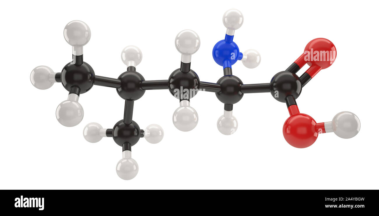 Leucine molecule structure 3d illustration with clipping path Stock ...