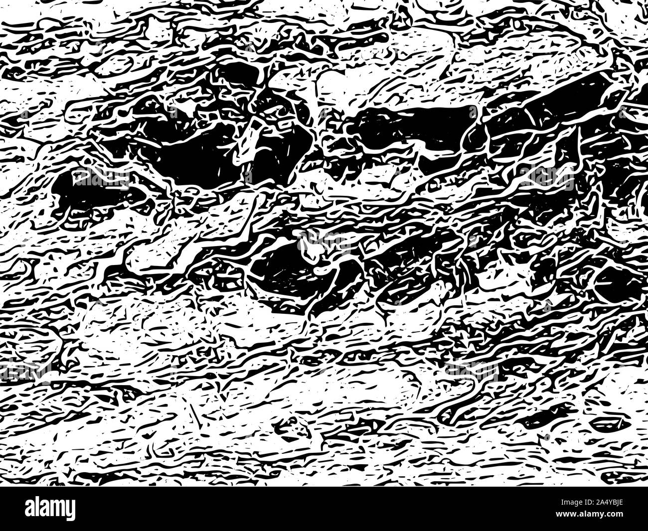 Graphic illustration in black and white. Pencil drawing of bark ...