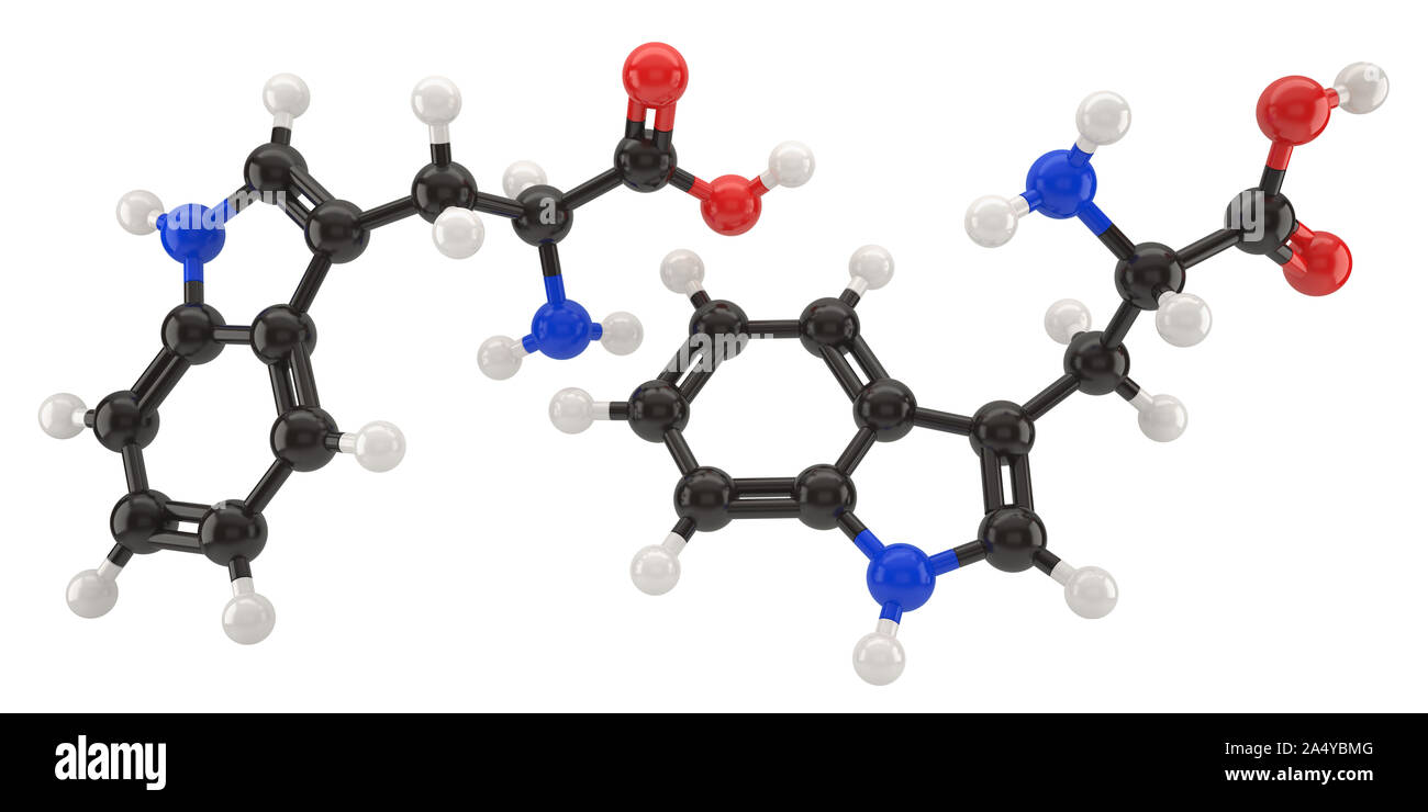 Tryptophan molecule structure 3d illustration with clipping path Stock ...