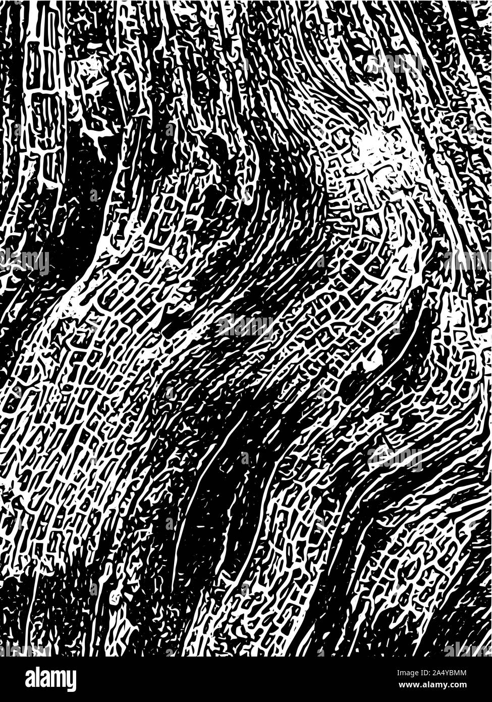 Graphic illustration in black and white. Pencil drawing of bark ...