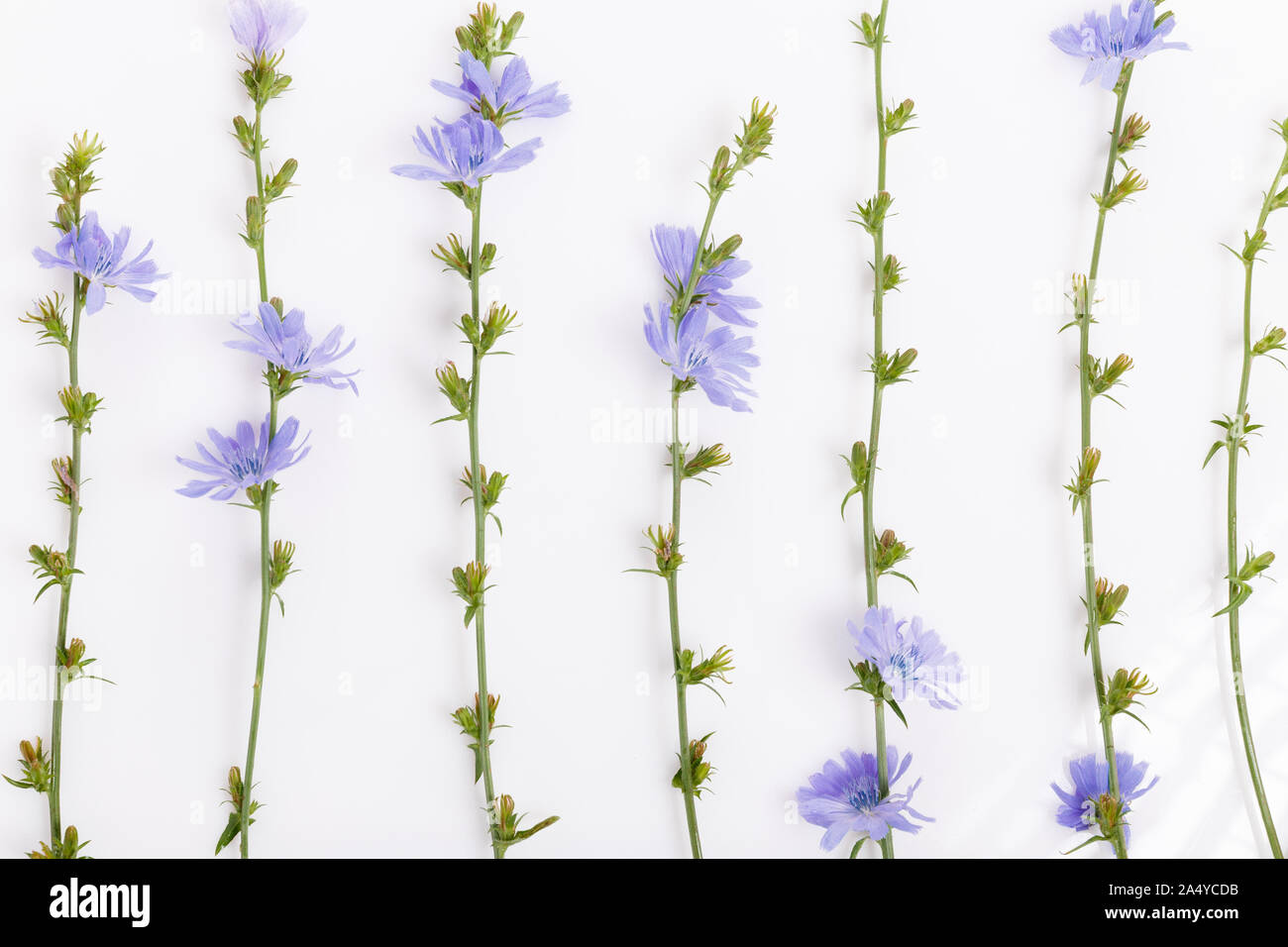 Floral Pattern High Resolution Stock Photography and Images - Alamy