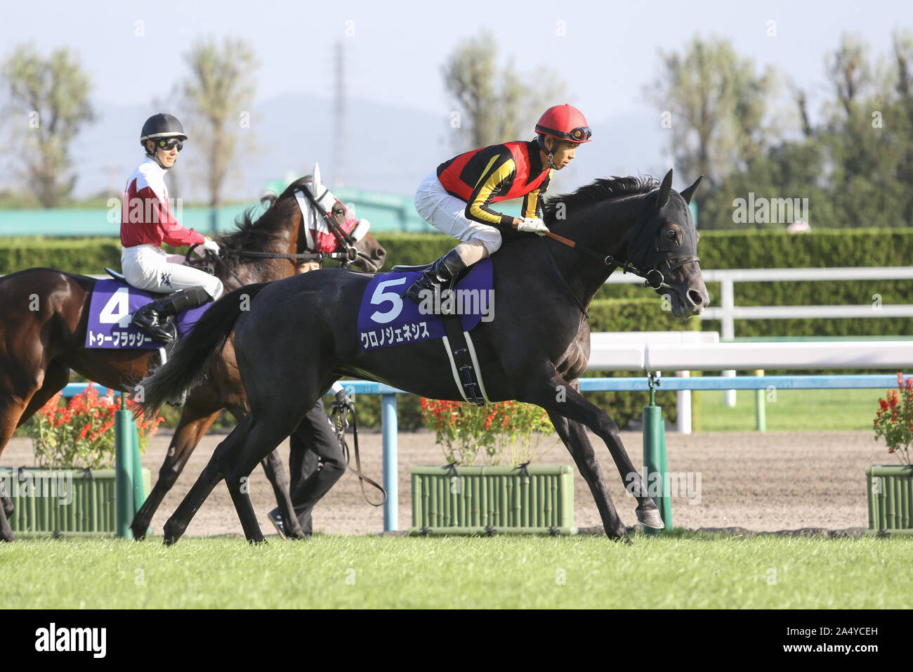 Chrono genesis hi-res stock photography and images - Alamy