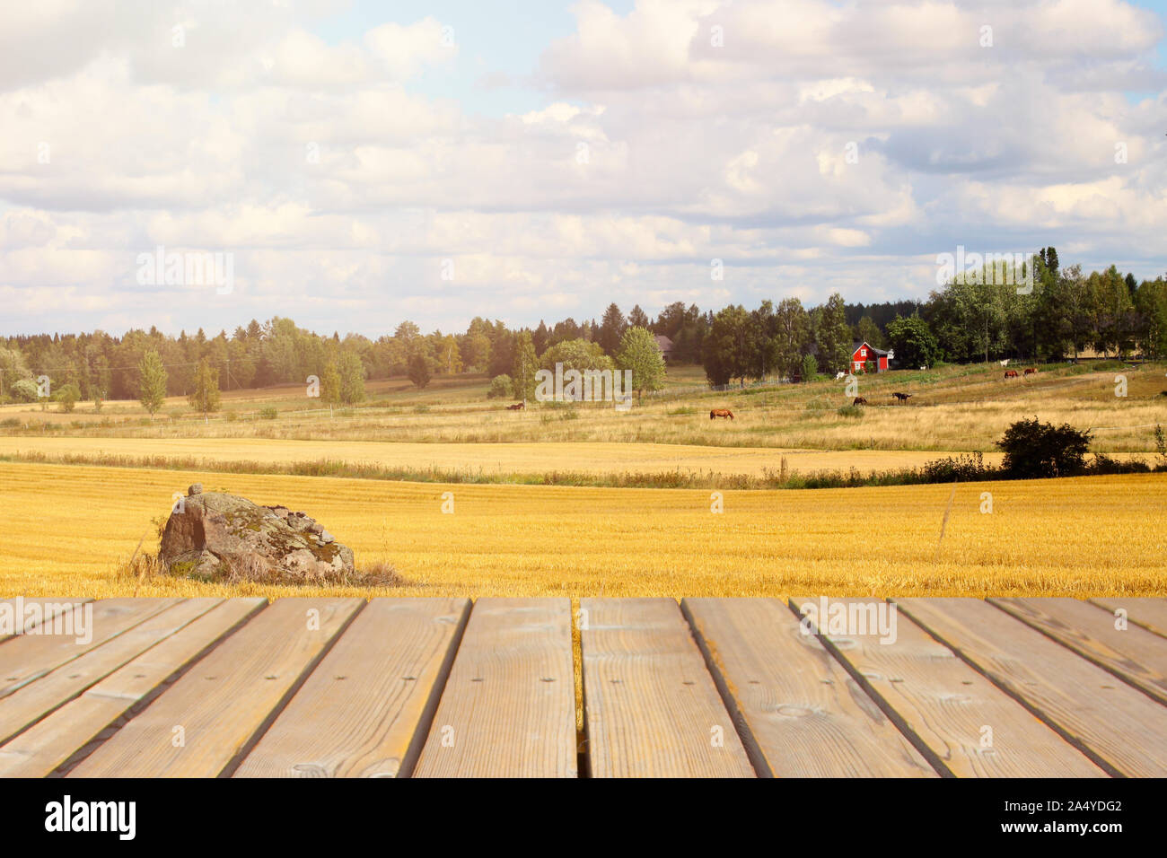 Amazing field and farm. View from the wooden terrace Stock Photo - Alamy