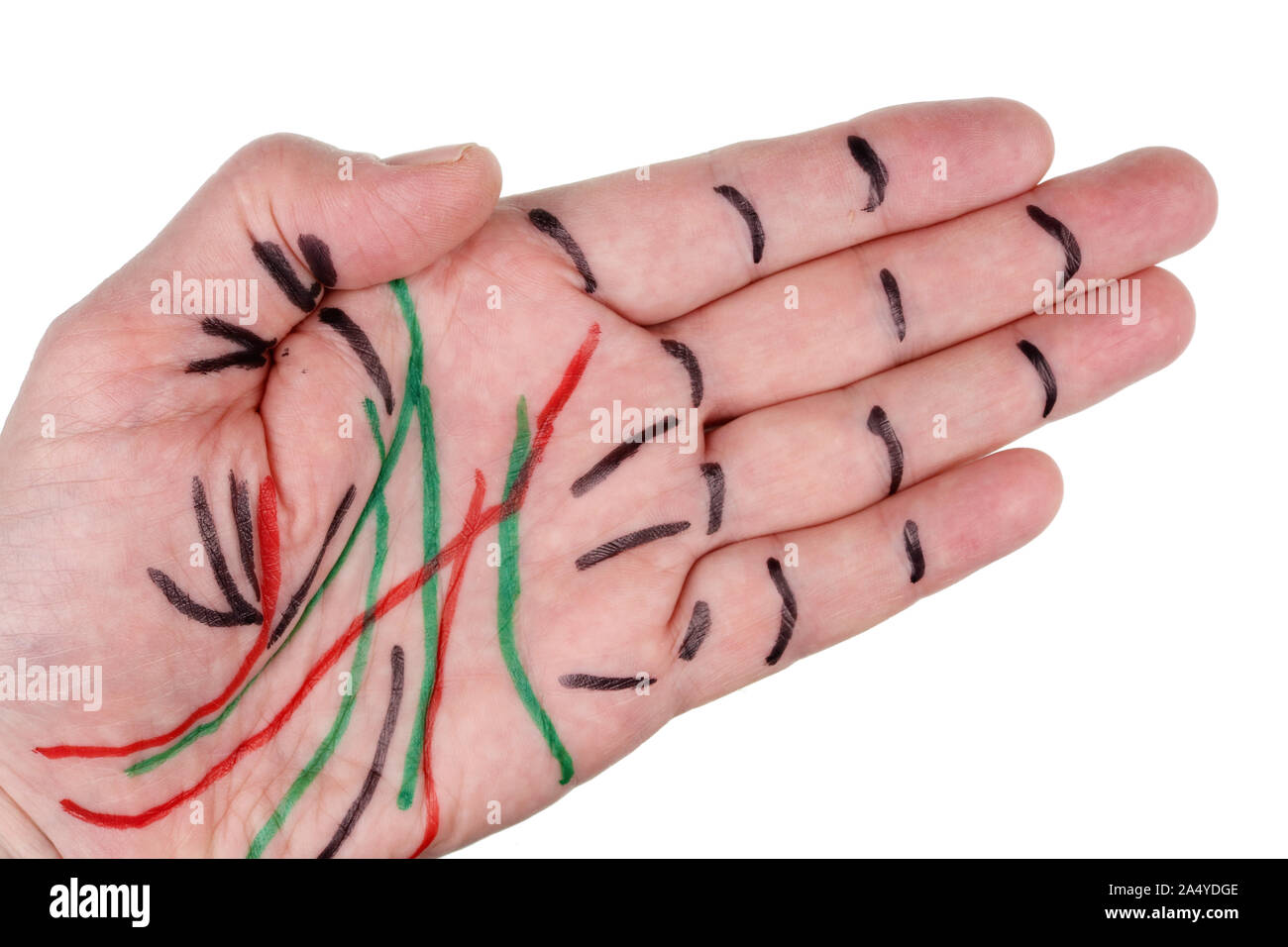 Draw with lines hi-res stock photography and images - Alamy