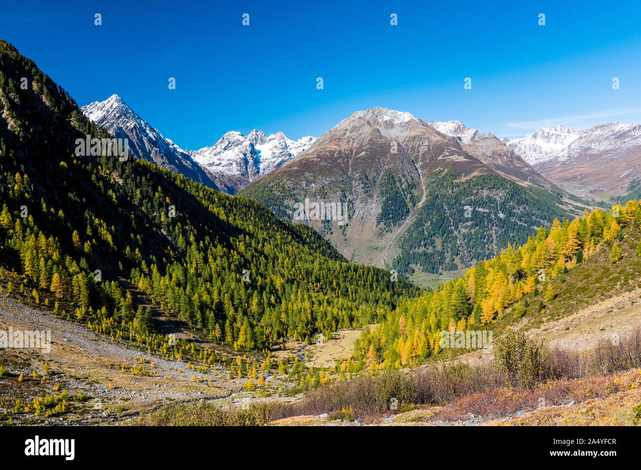 Macun seen hi-res stock photography and images - Alamy