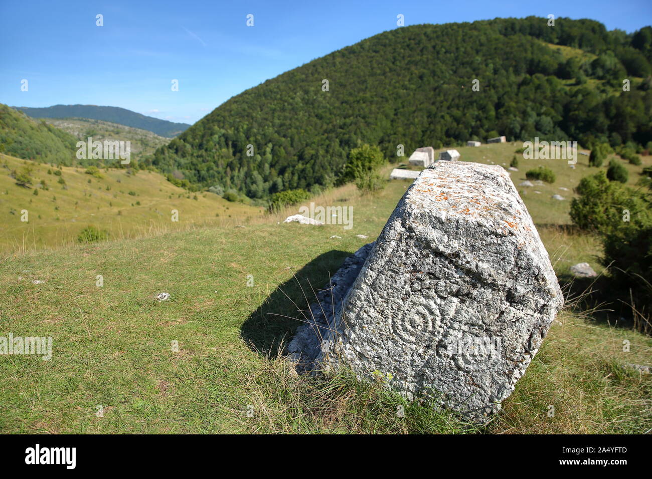 Stecak tombstones (decorated with symbolic motifs) located close to ...