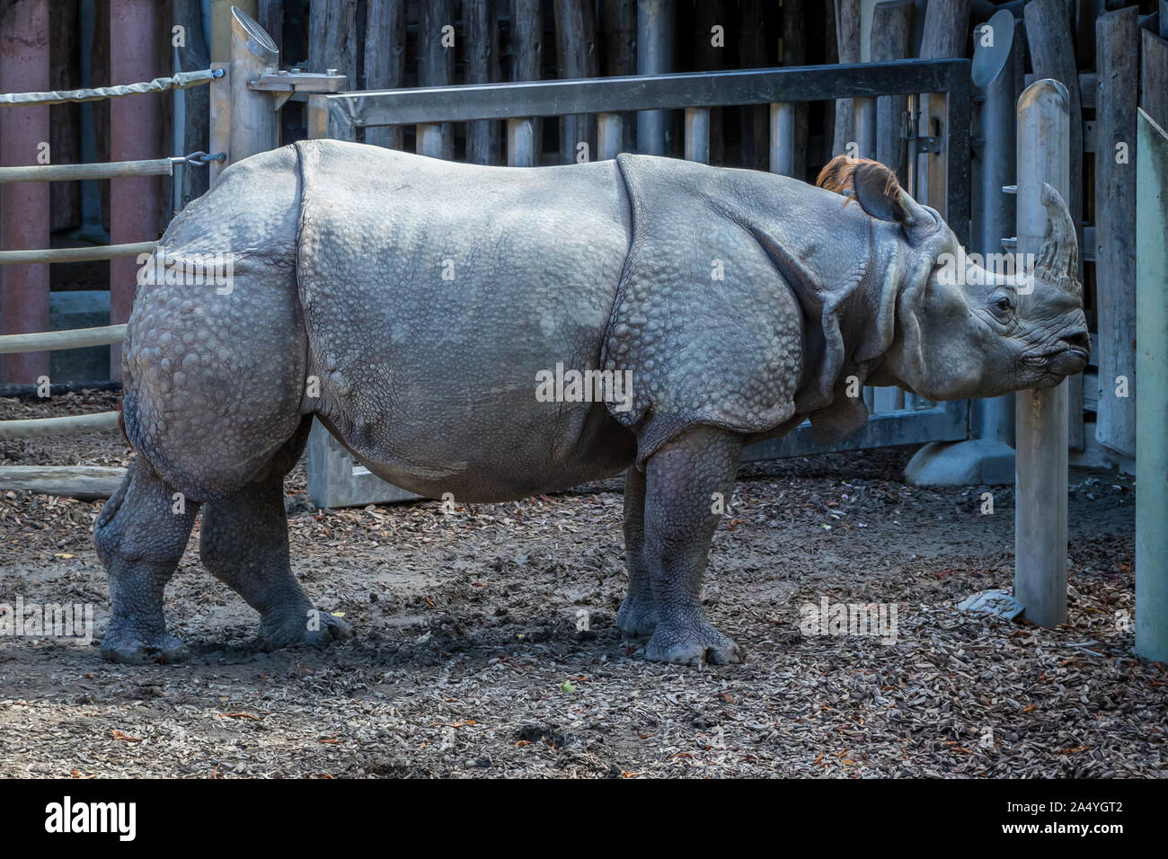 Watchfully High Resolution Stock Photography and Images - Alamy