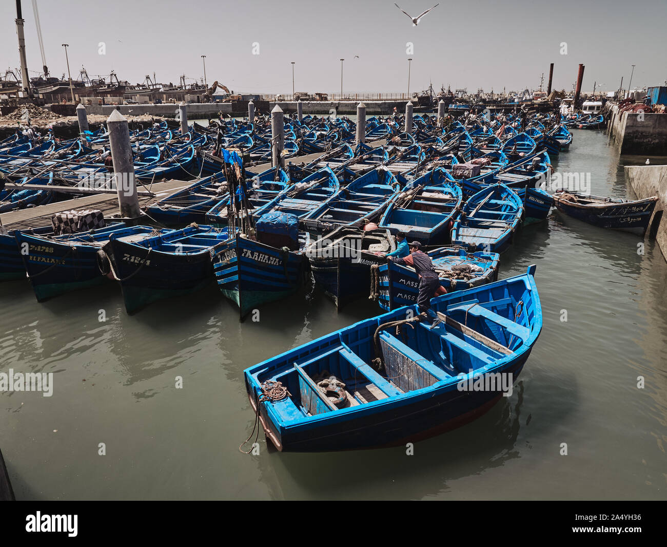 Traditional moroccan blue boats parking in the harbor of Essasouira ...