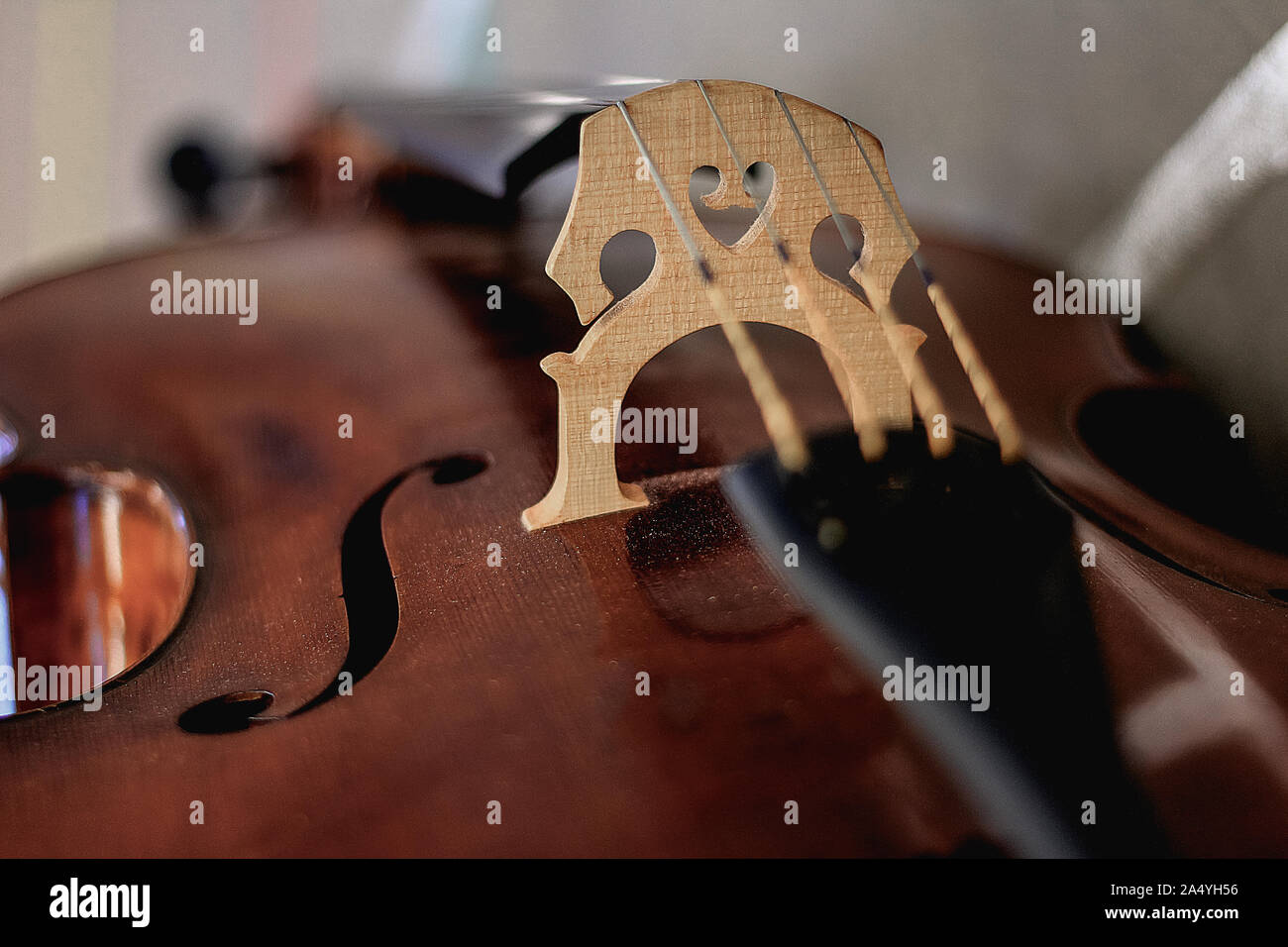Cello photography hi-res stock photography and images - Alamy