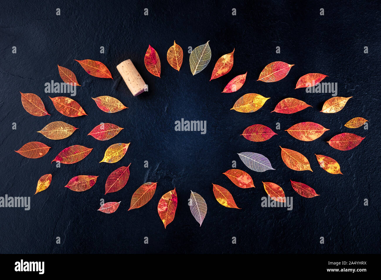 Autumn wine background with vibrant fall leaves on a black texture, a ...