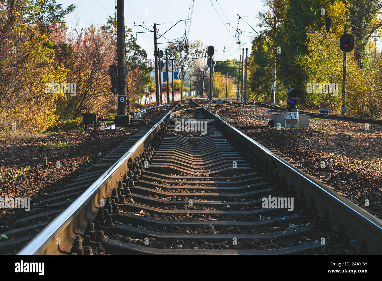 Railroad track in forest curve hi-res stock photography and images - Alamy