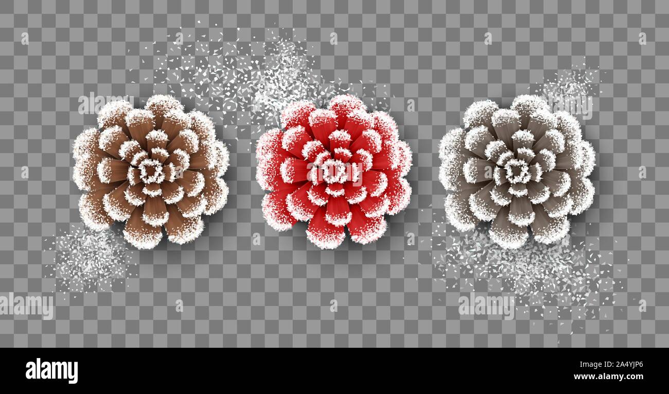 Top view pine tree Stock Vector Images - Alamy