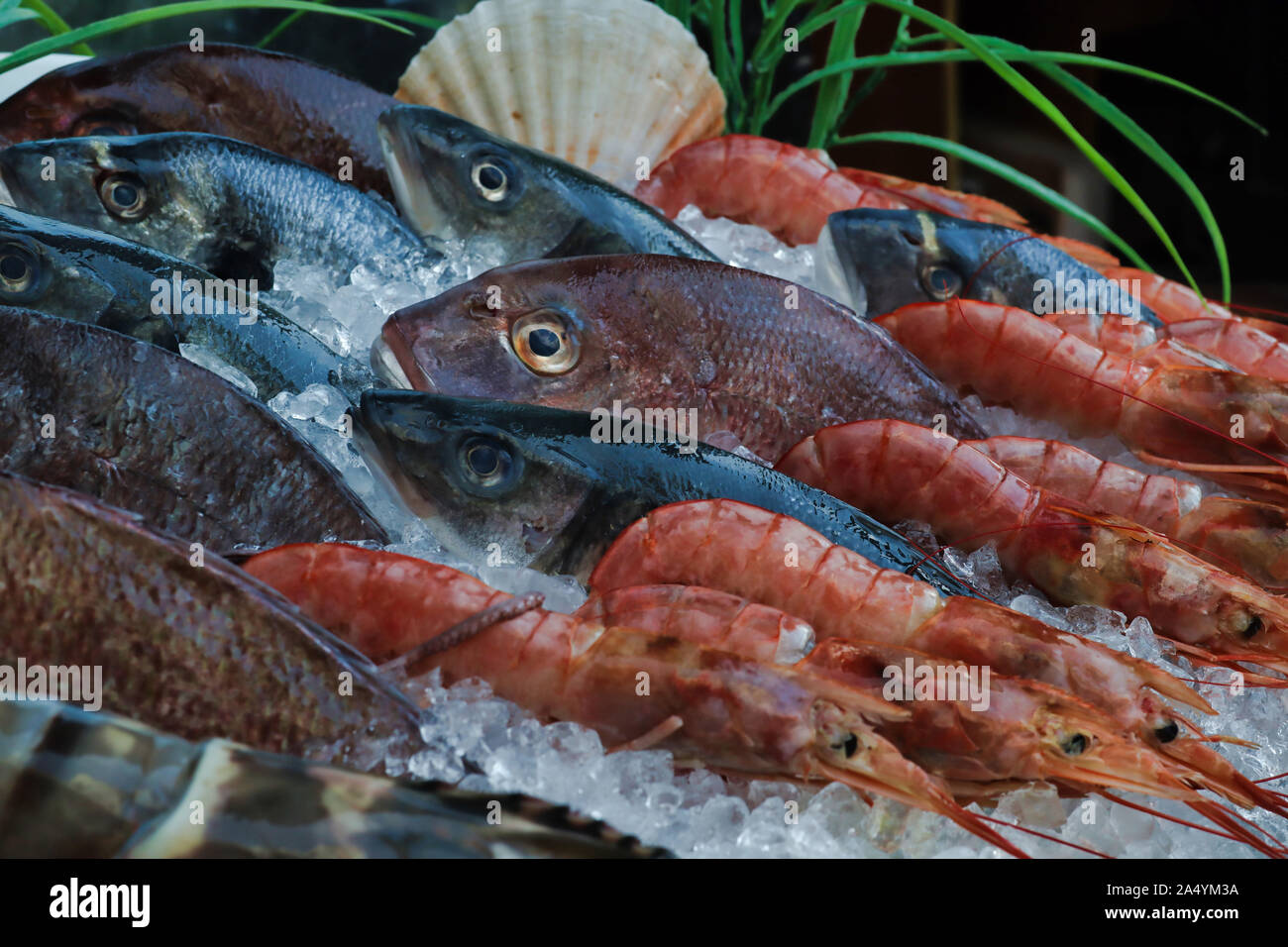 Fresh fish platter outside a restaurant Stock Photo - Alamy