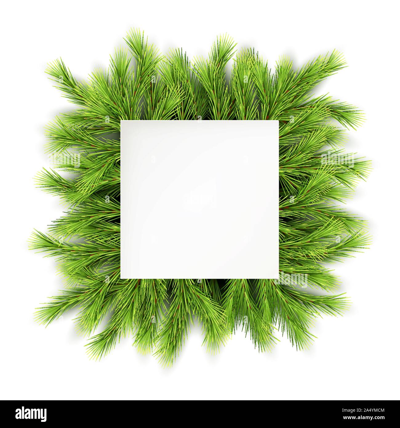Pine tree square Stock Vector Images - Alamy