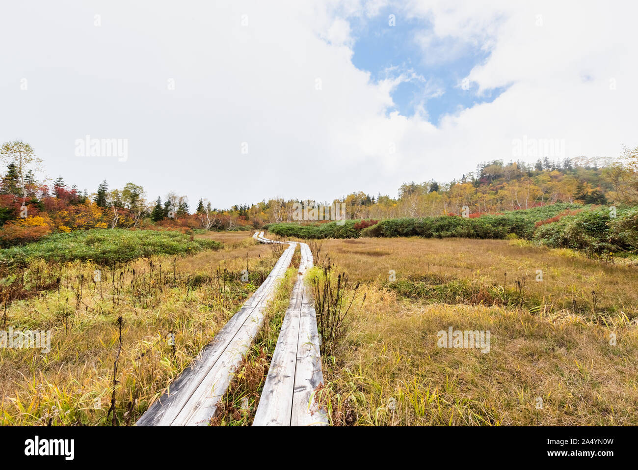 Tsugaike nature park at nagono, otari village Stock Photo - Alamy