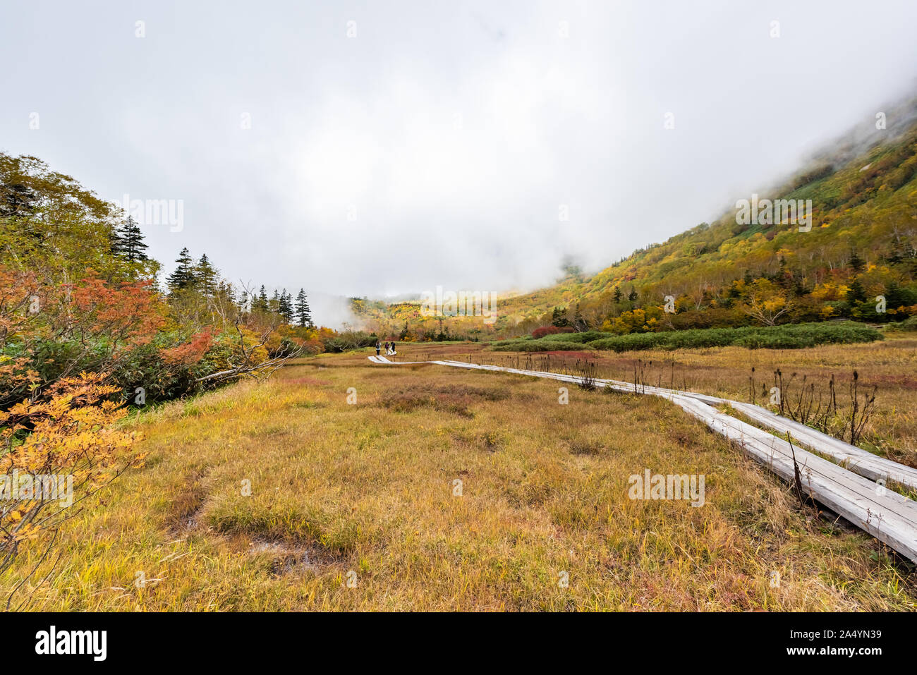 Tsugaike nature park at nagono, otari village Stock Photo - Alamy