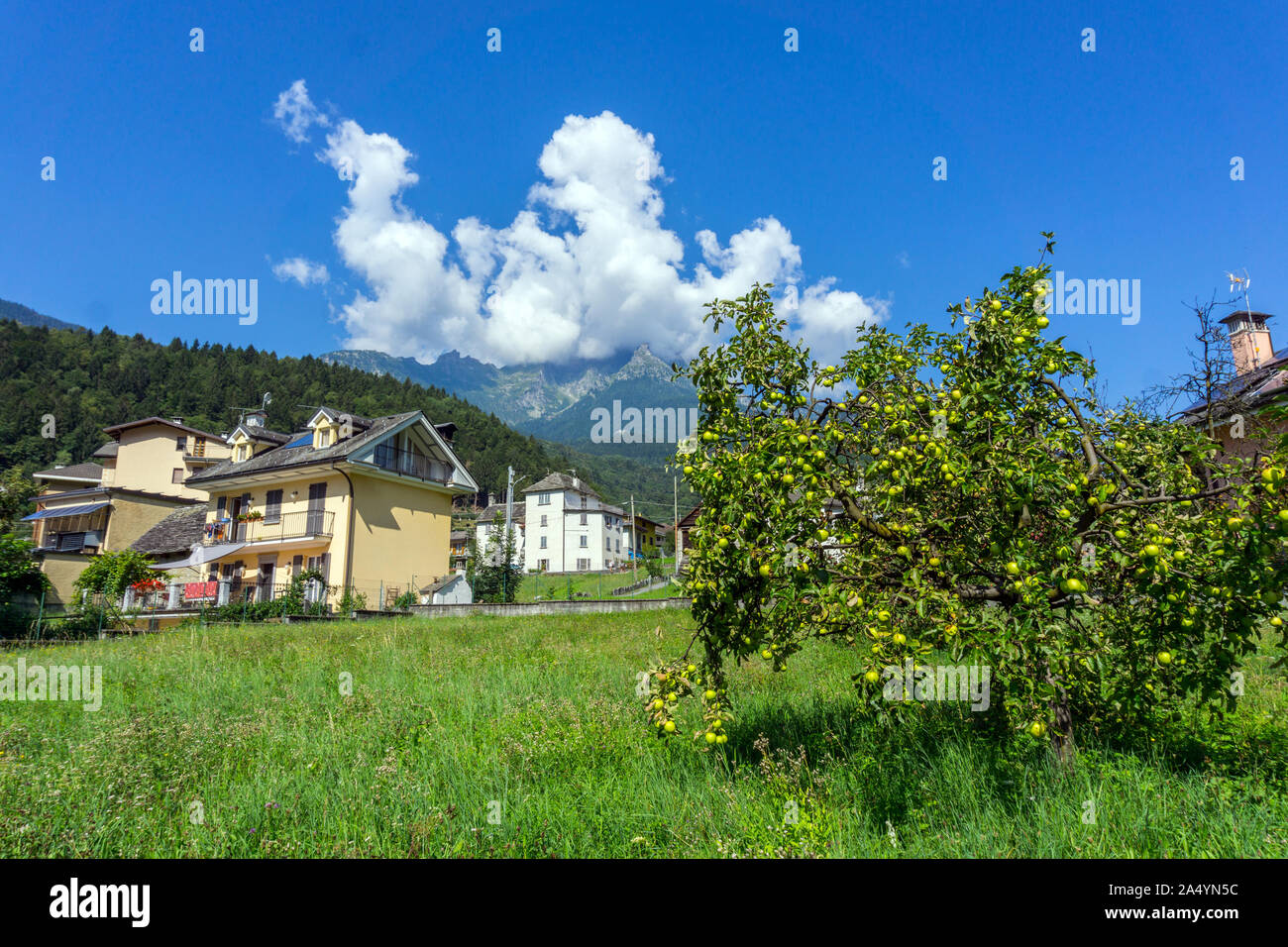 Crodo hi-res stock photography and images - Alamy