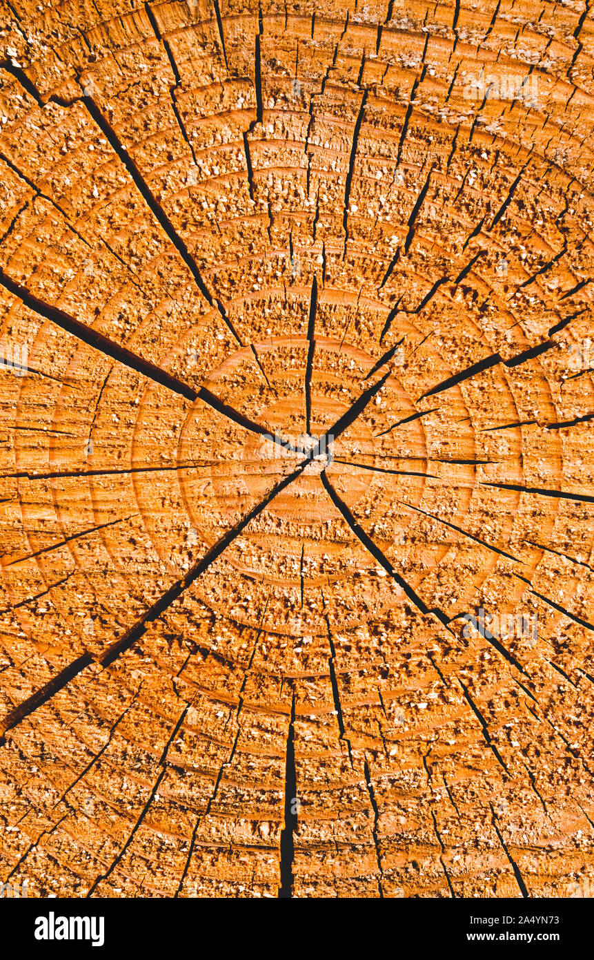 Growth Scars High Resolution Stock Photography and Images - Alamy