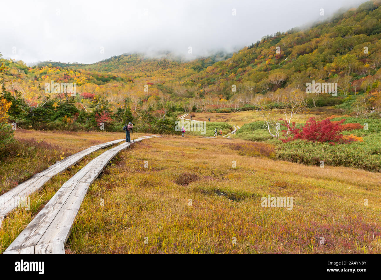 Tsugaike nature park at nagono, otari village Stock Photo - Alamy
