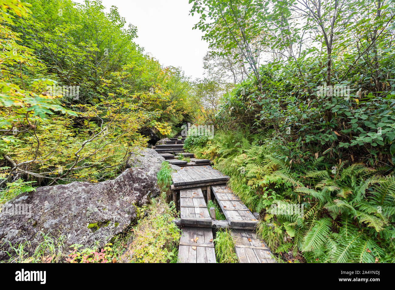 Tsugaike nature park at nagono, otari village Stock Photo - Alamy
