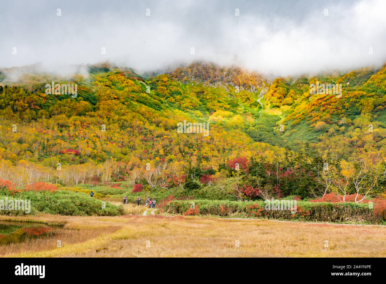 Tsugaike nature park at nagono, otari village Stock Photo - Alamy