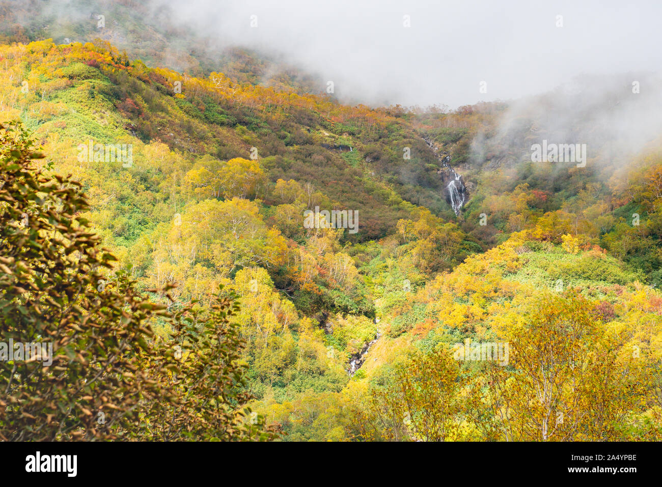 Tsugaike nature park at nagono, otari village Stock Photo - Alamy