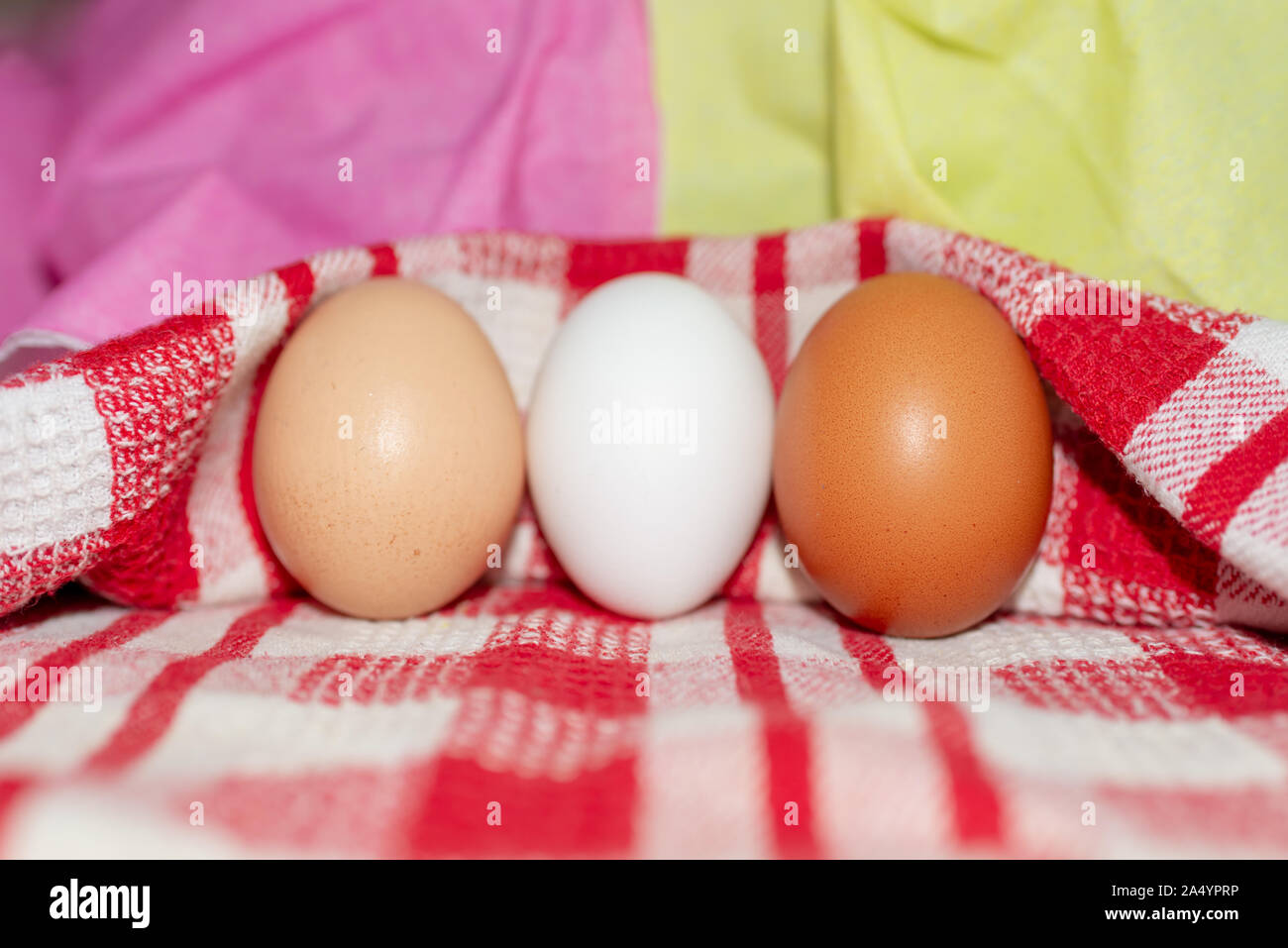 Three different colored eggs, concept image for equality.Close up Stock ...