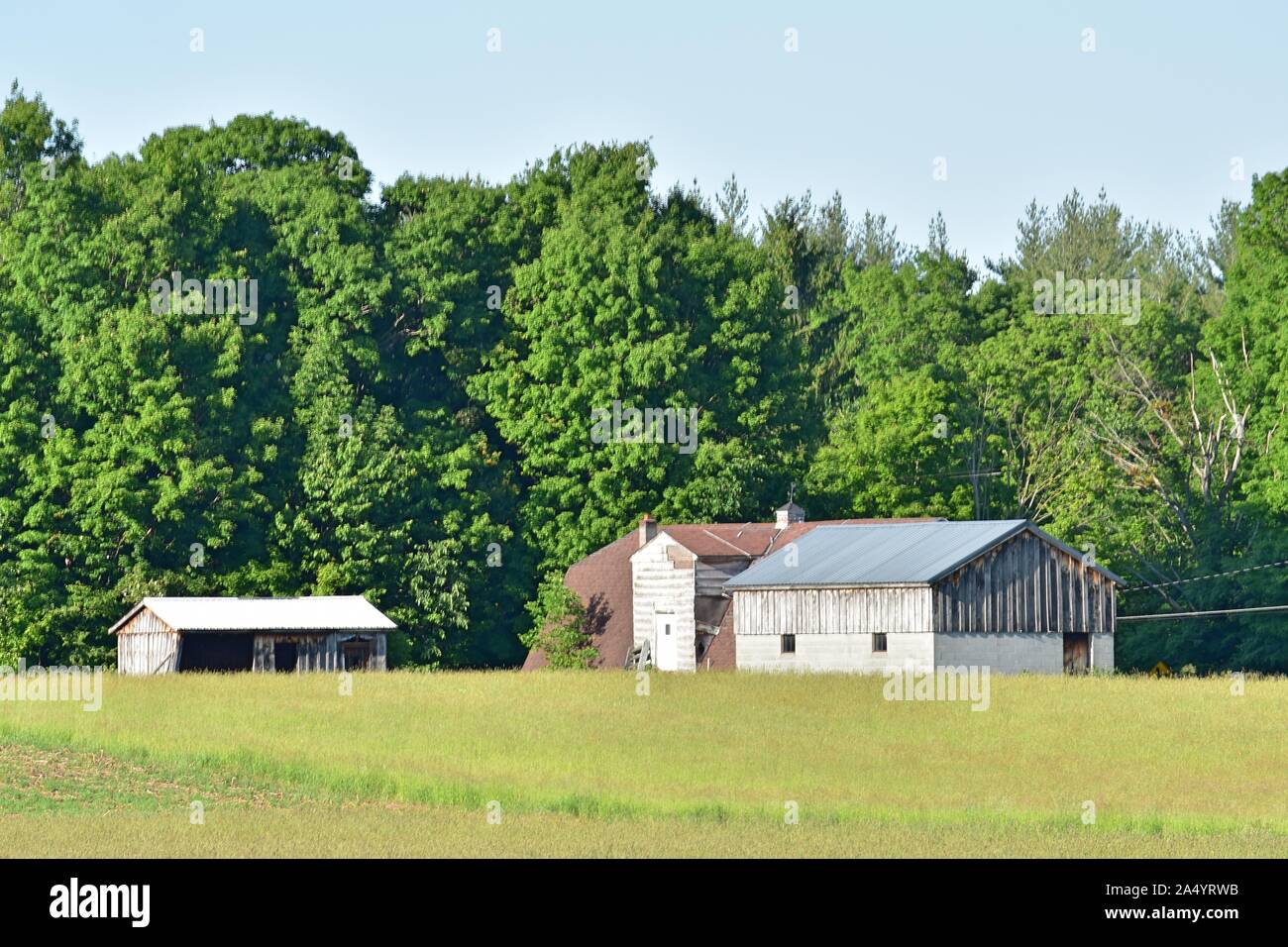 Farm Buildings Field And Trees Stock Photo - Alamy