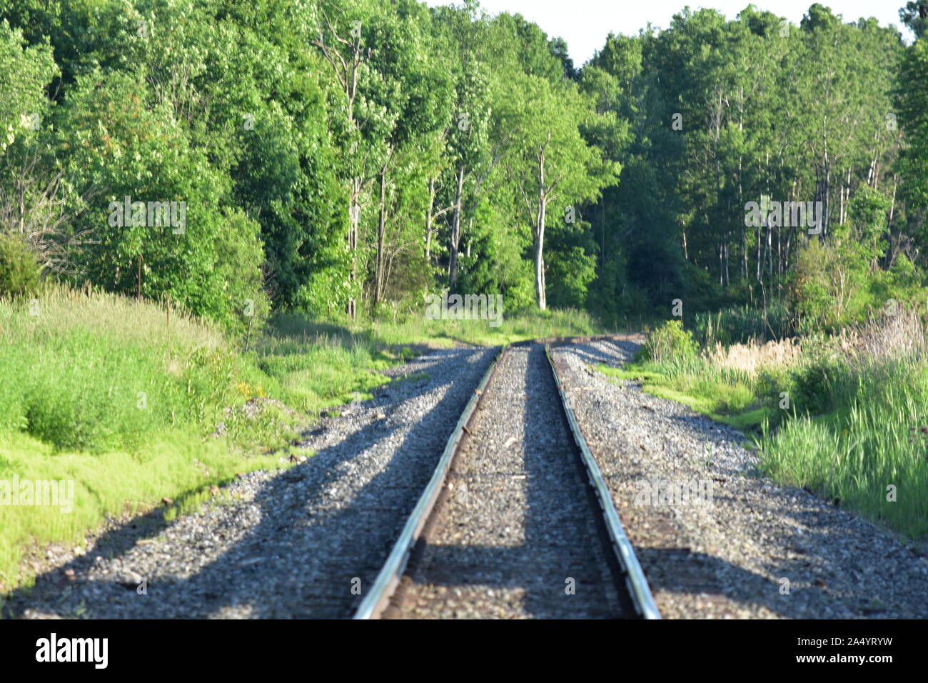 An Old Train Tracks And Trees Stock Photo - Alamy