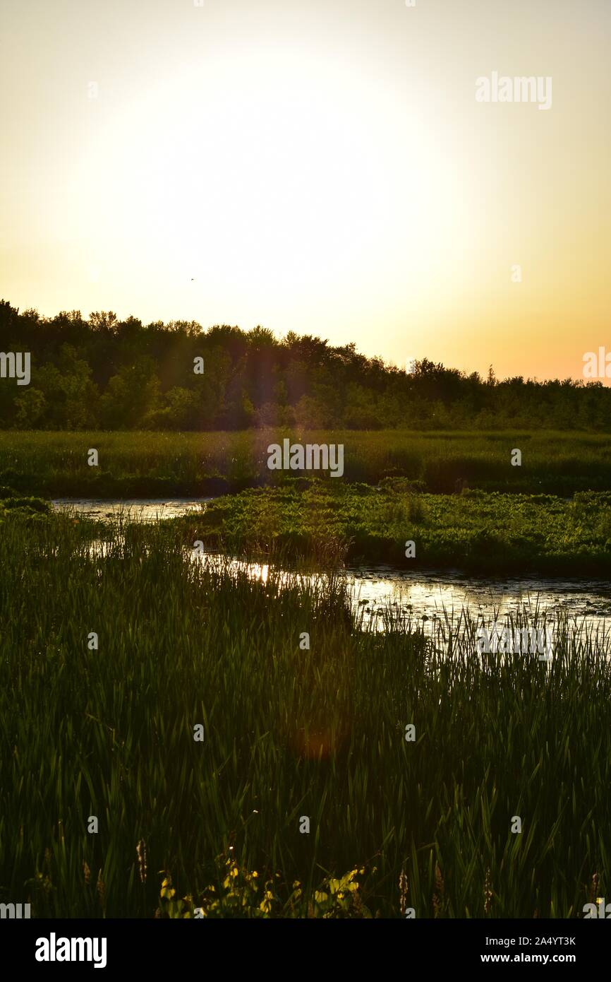 Sun And Marsh At Dusk Or Dawn Stock Photo - Alamy