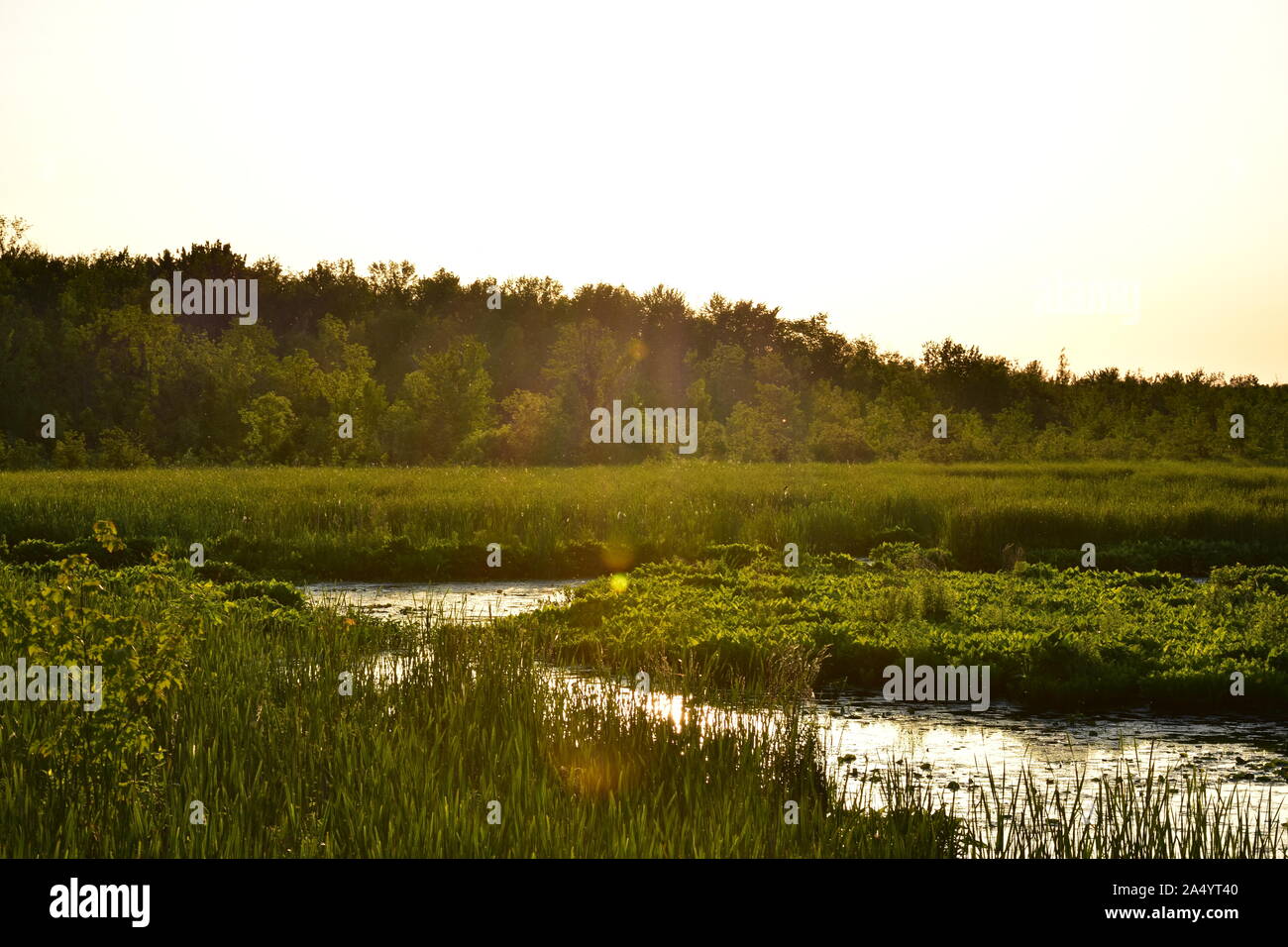 Dusk to dawn hi-res stock photography and images - Alamy
