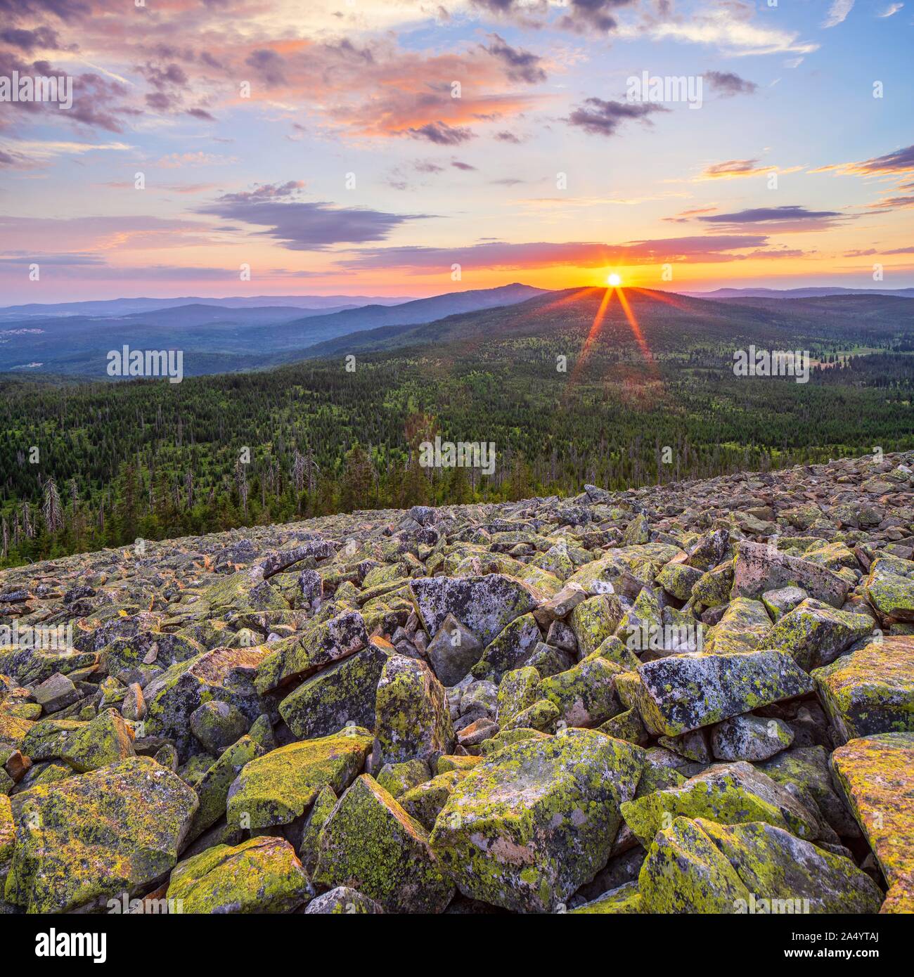 Summit over forest hi-res stock photography and images - Alamy