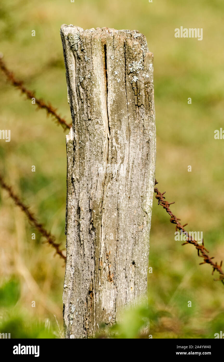 Spiky wire hi-res stock photography and images - Alamy