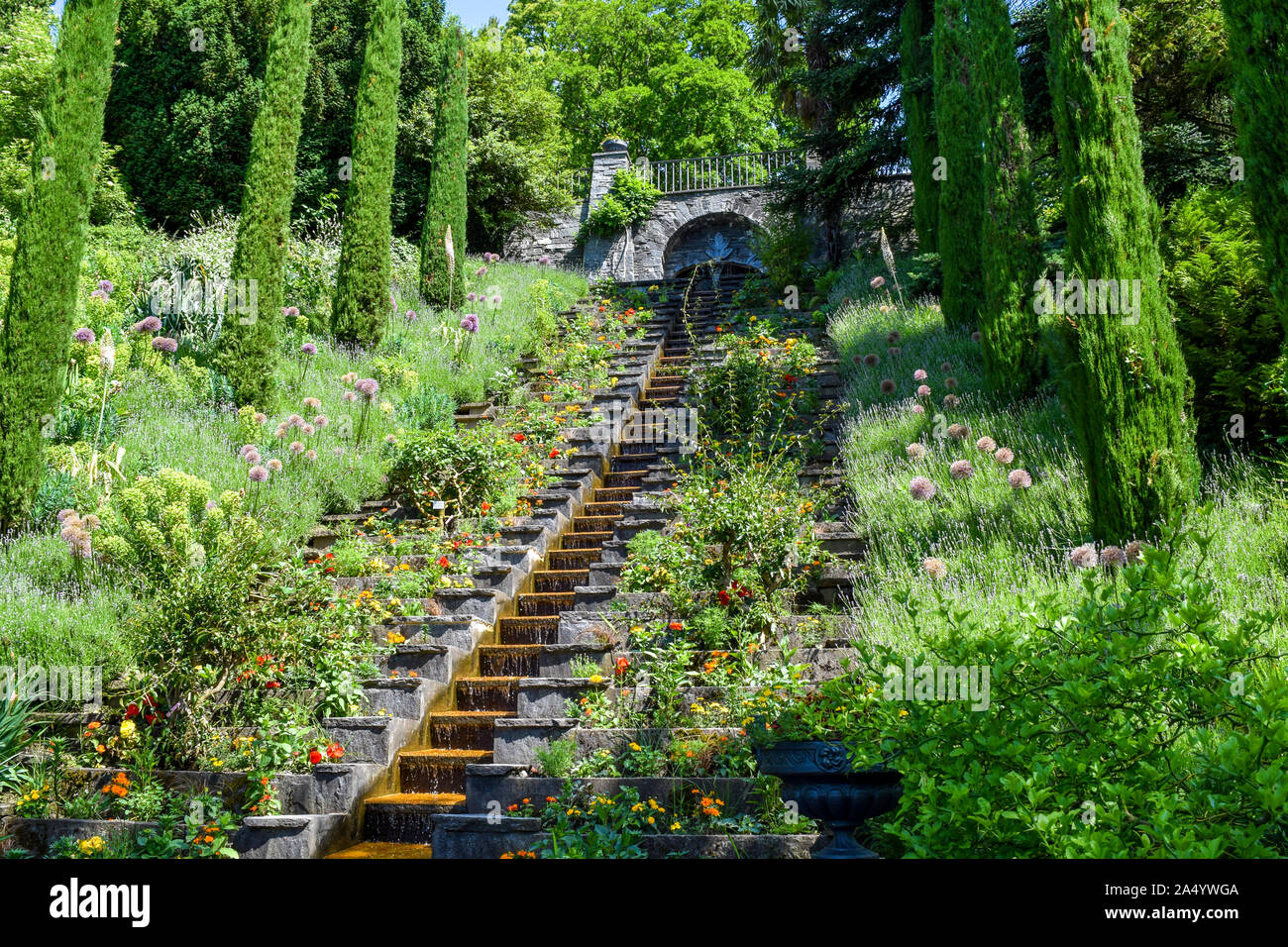 Staircase with beautiful flowers on isle of Mainau Stock Photo - Alamy