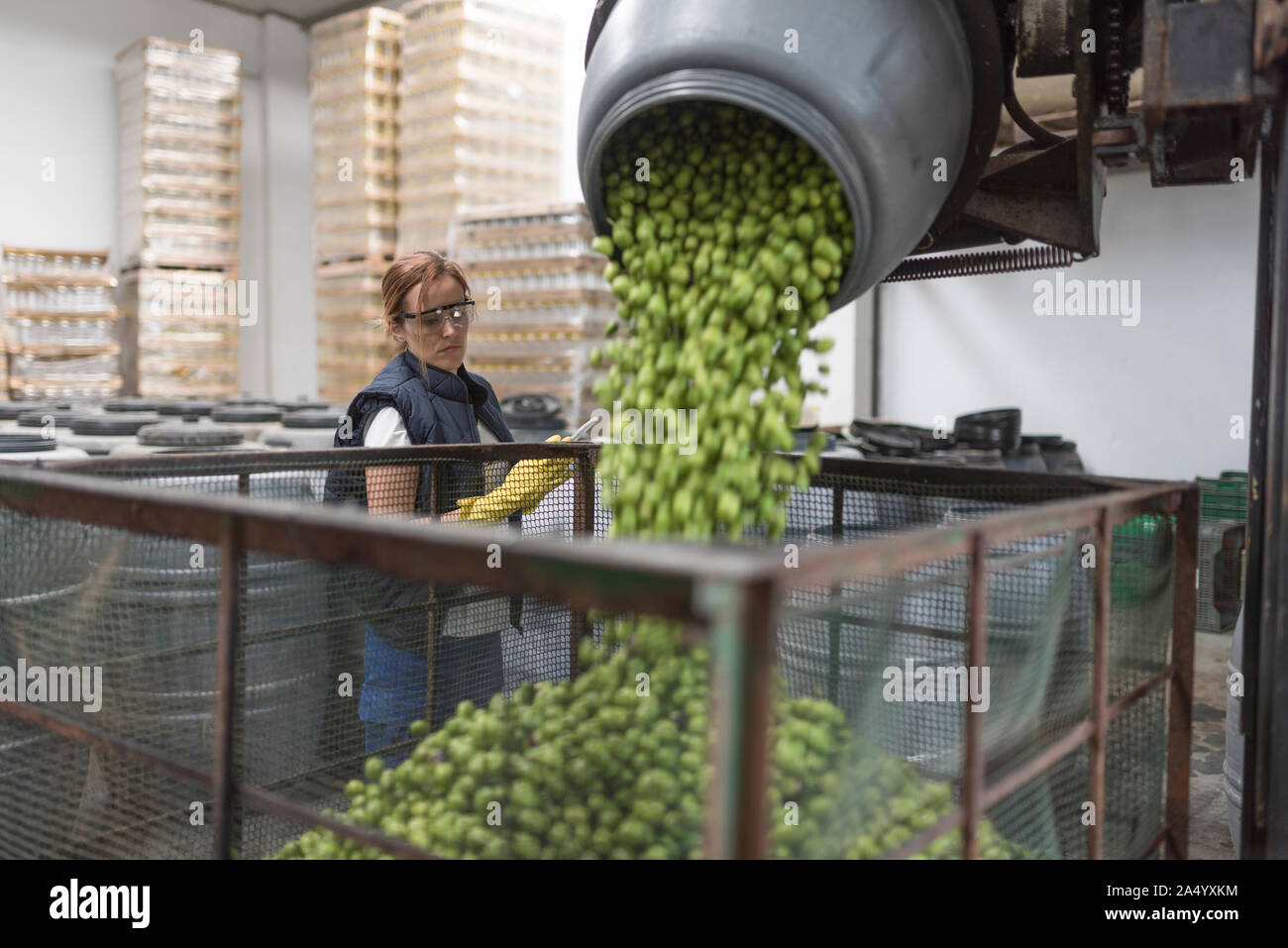 Olives packaging food fruit hi-res stock photography and images - Alamy